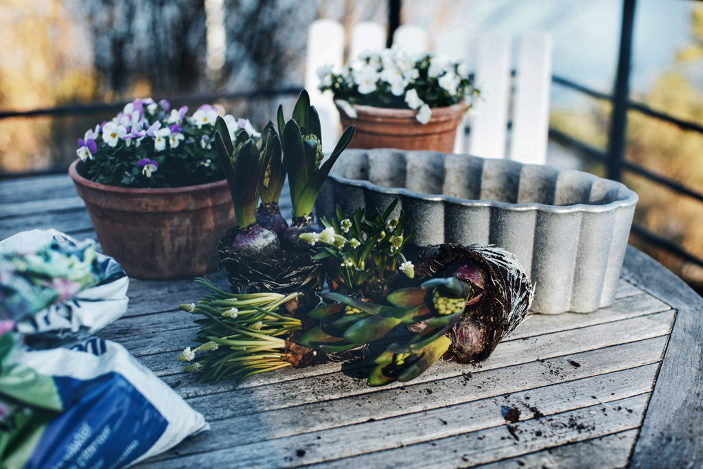 plantering_myrberg – @mycasa. Hanteringen av Estoniakatastrofen!